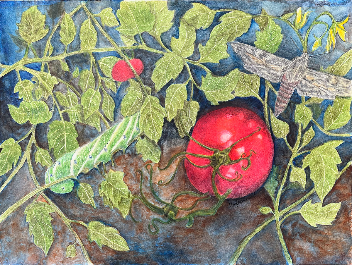 Lessons from Mother Nature – On to the Next Adventure